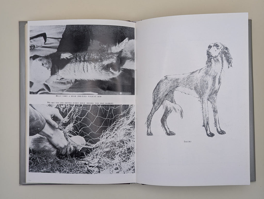 Rogues.... and Running Dogs – The Goose Books